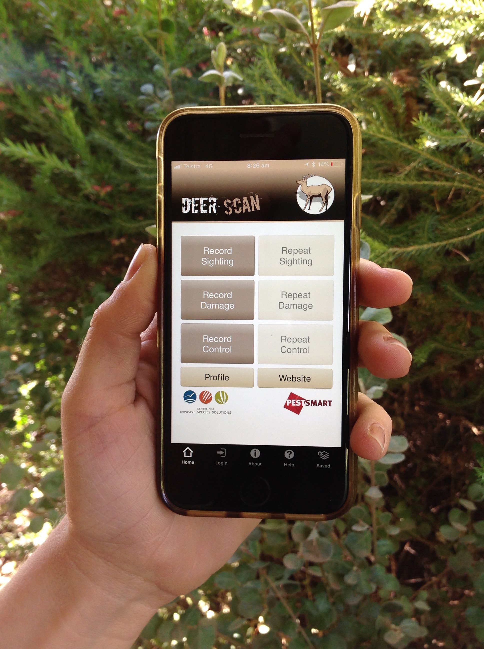 Community-led deer monitoring via DeerScan - News & Events - Centre for ...