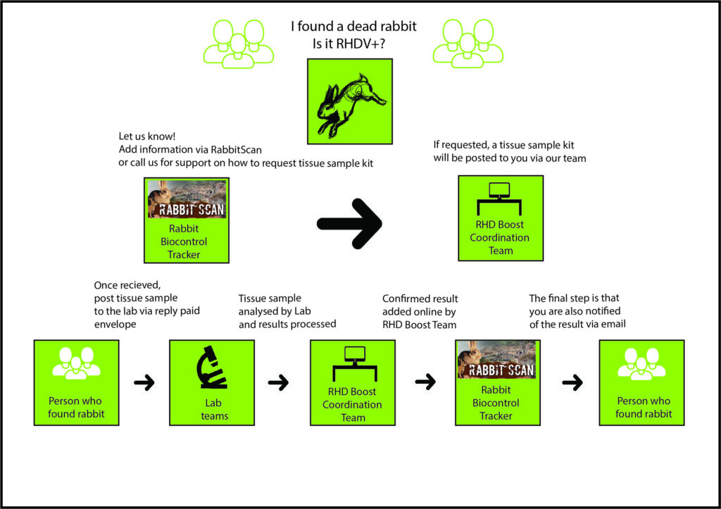 Samples wanted from your Autumn rabbit control programs - News & Events ...