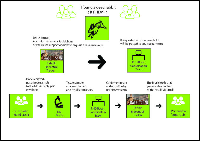 Samples wanted from your Autumn rabbit control programs - News & Events ...