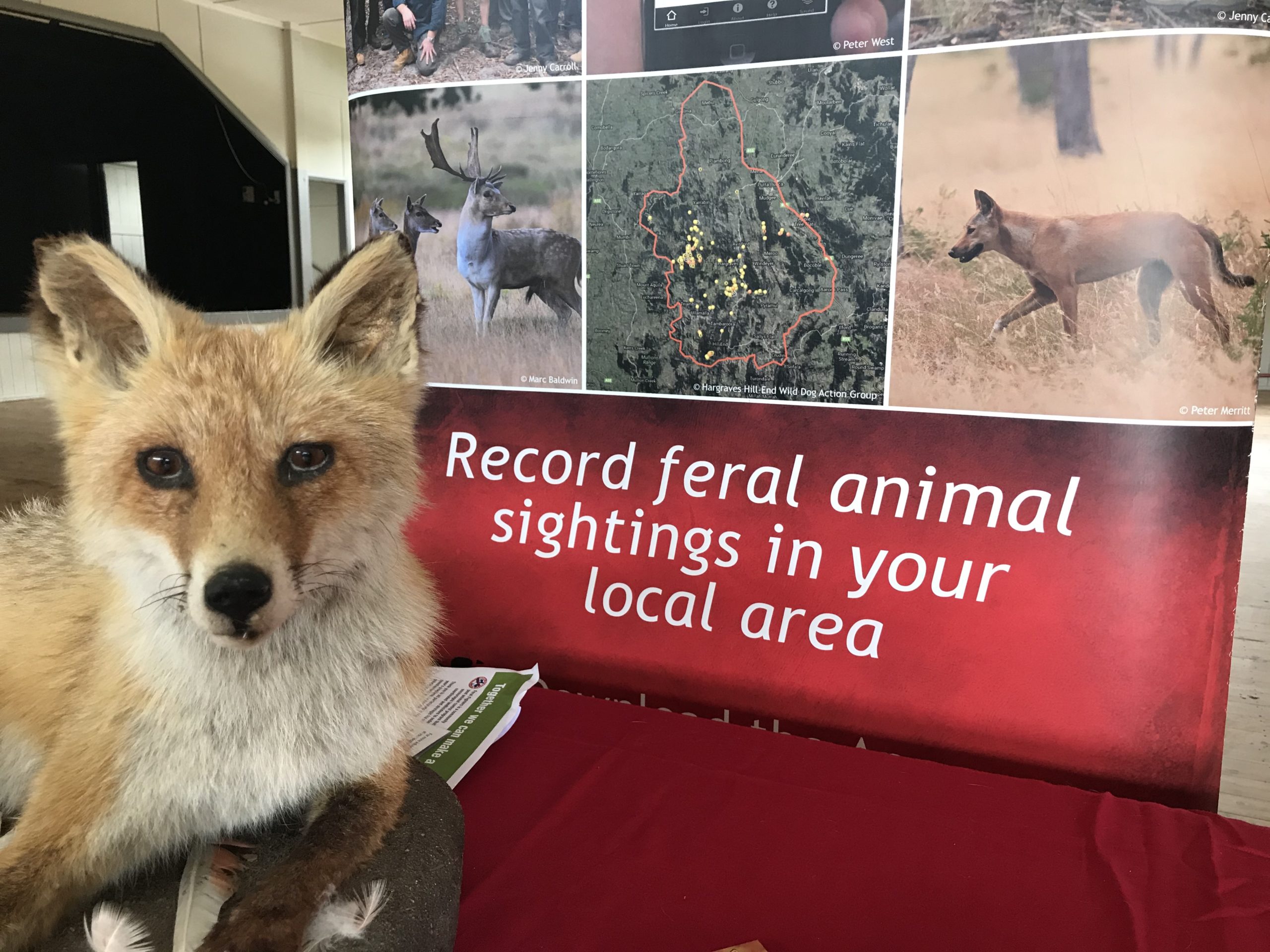 FeralScan and pest management workshops in NSW – 44 completed and ...