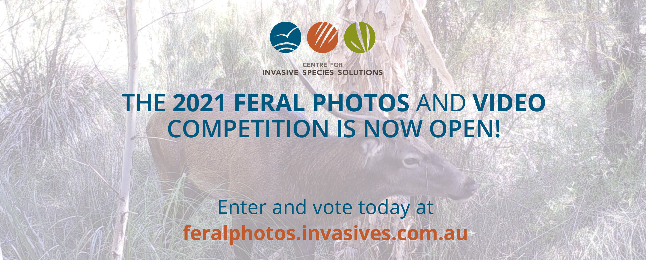 Hop to it and snap a feral for new competition! - News & Events ...