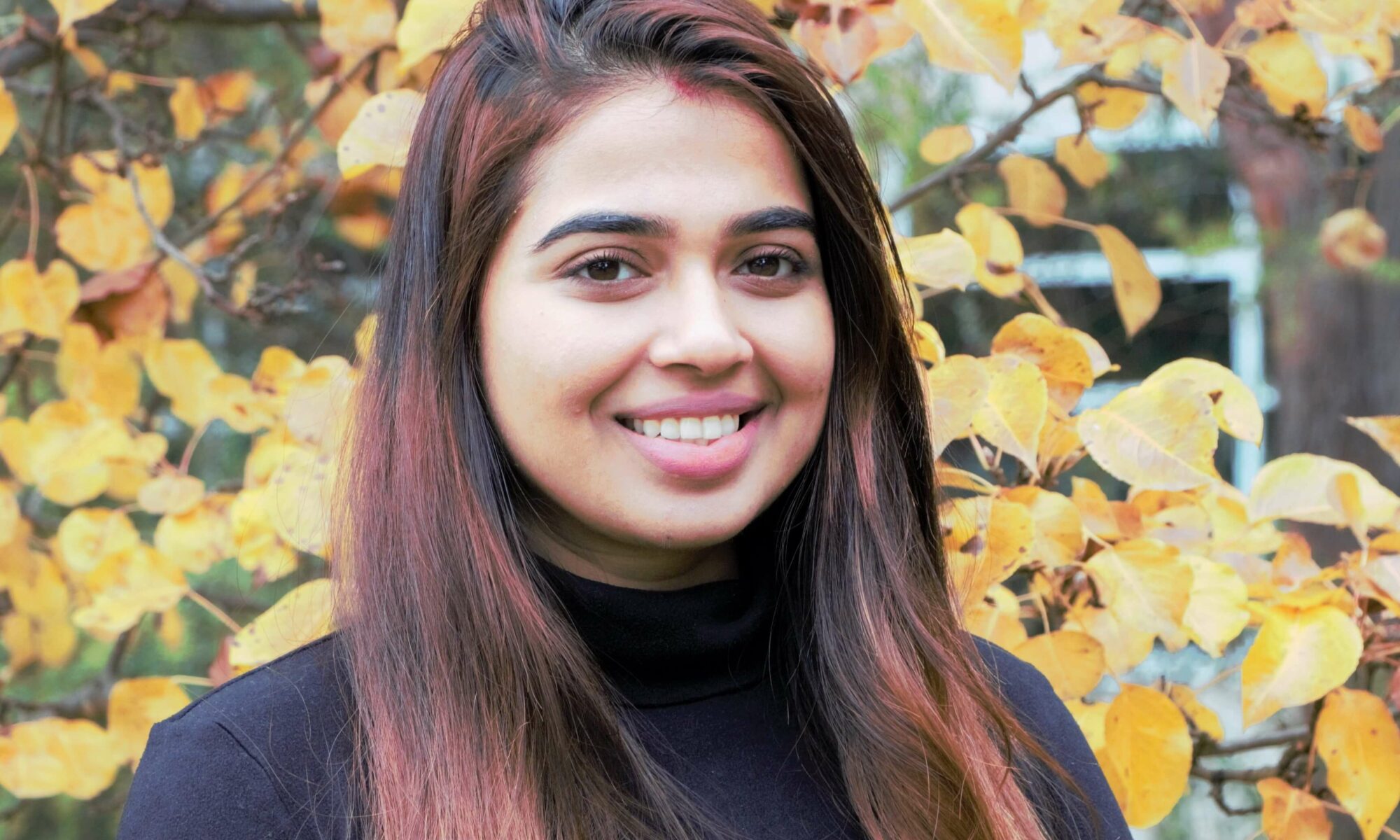 Centre for Invasive Species Solutions - Homepage