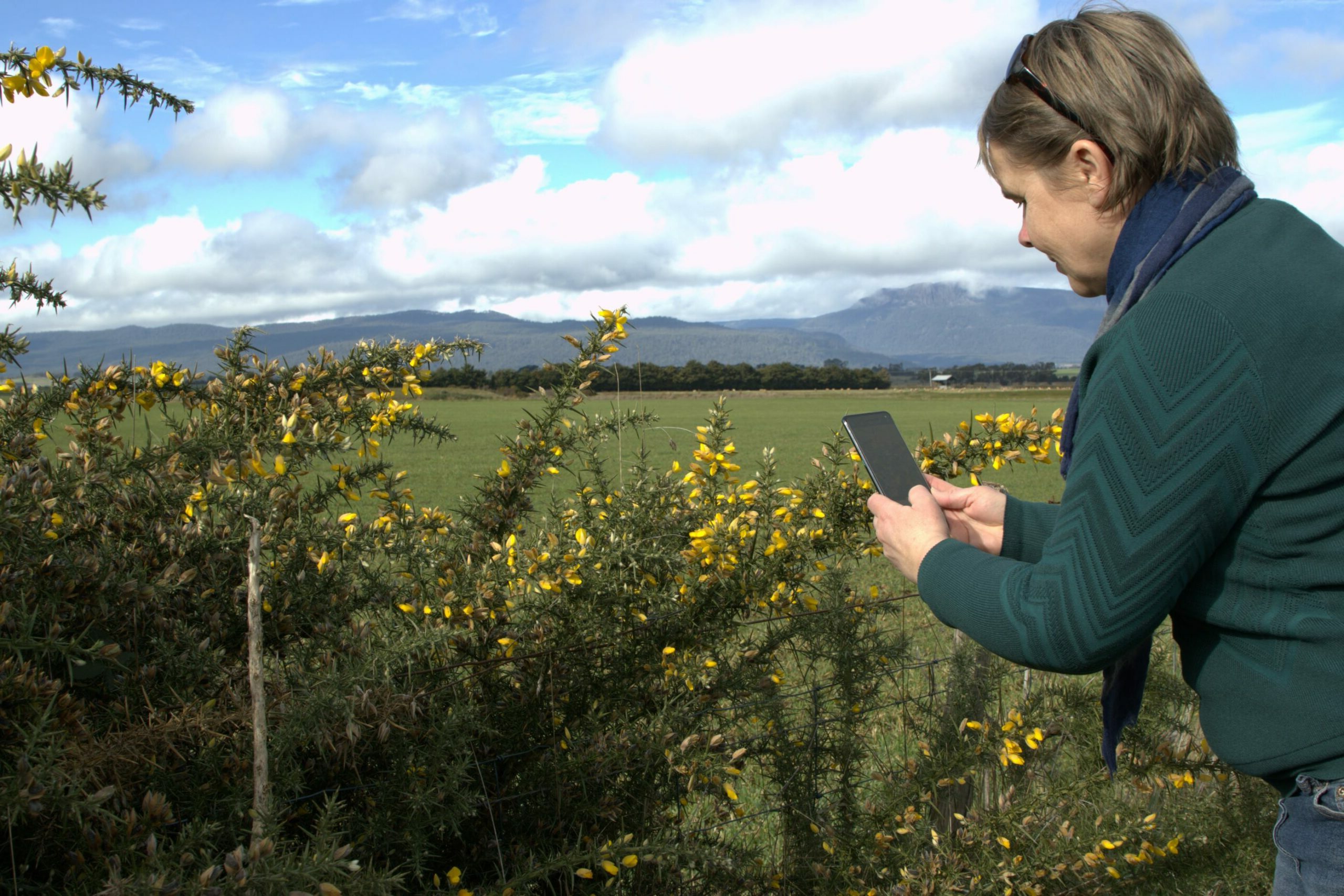 New AI-powered app set to transform weed management in Australia - News ...
