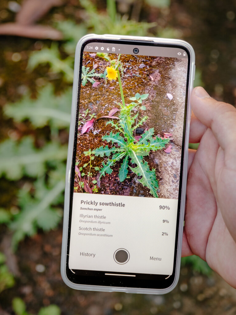 WeedScan: A new weapon in the war against weeds - News & Events ...