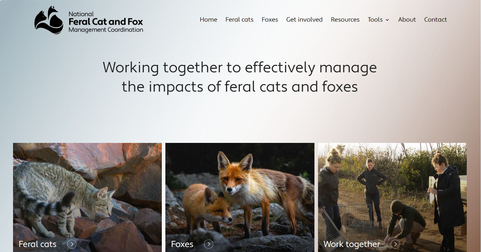 New national one-stop-shop website launched to help better manage feral ...