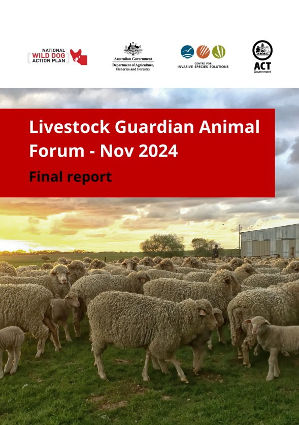 Protecting livestock with guardian animals - News & Events - Centre for ...